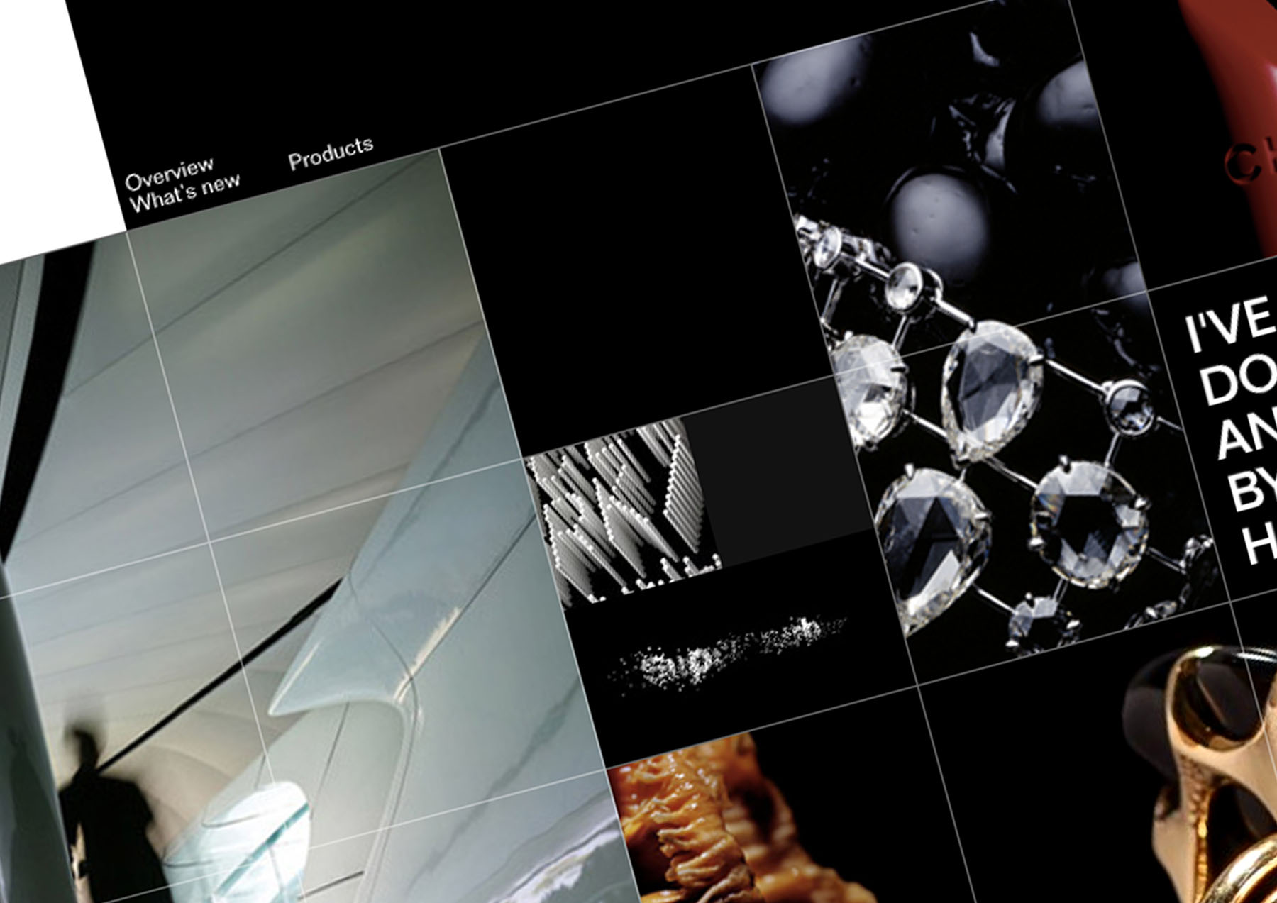 Andrew Chee / CHANEL Brand Interface / Reflection